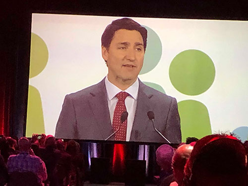 White Rock Sun - [ Yell It Like It Is ]